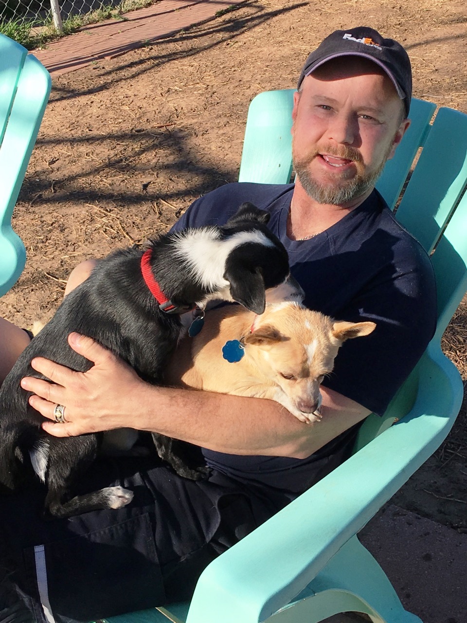 randy dog and kitty city 2 – Paul Sees the World