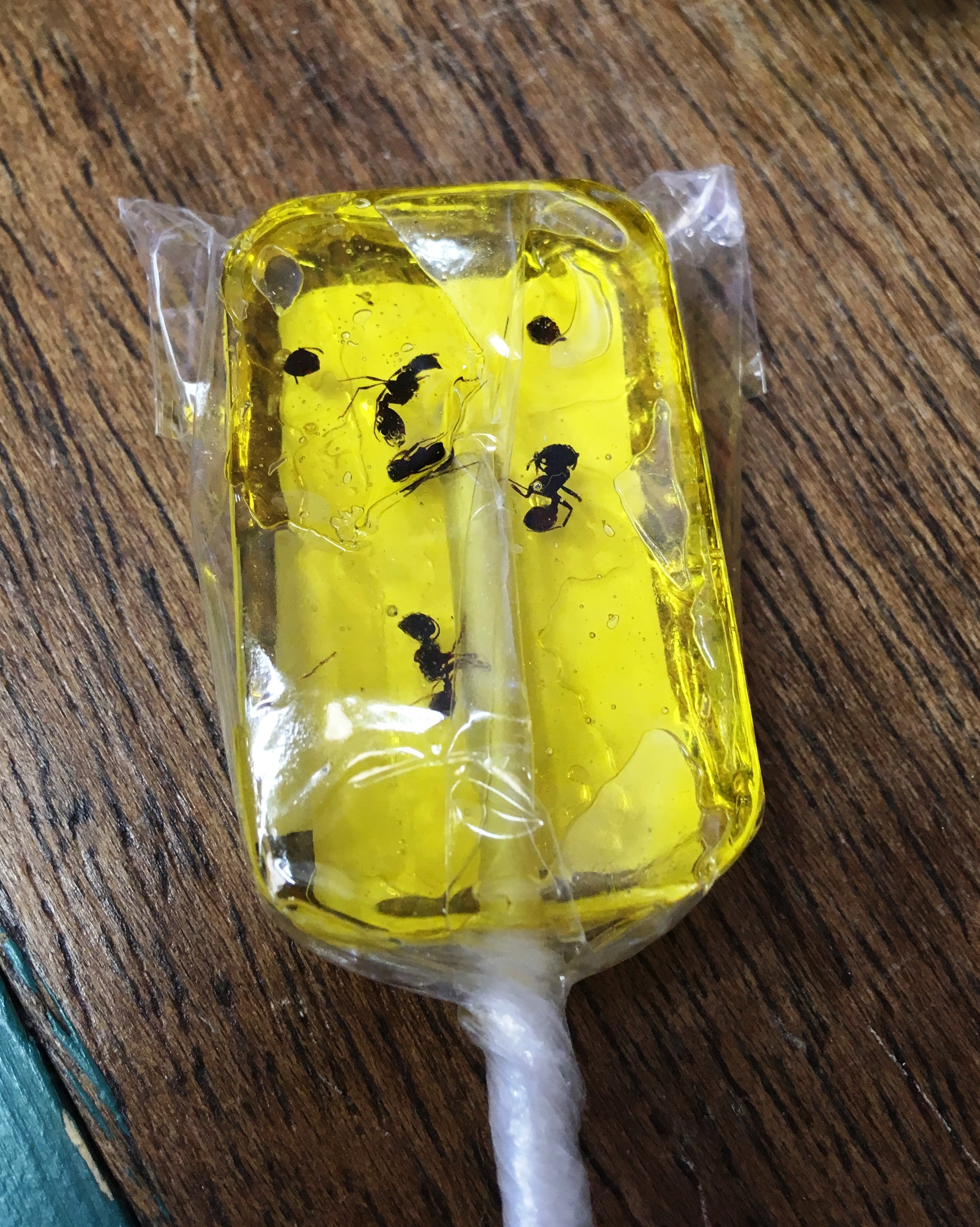 Hotlix ants – Paul Sees the World